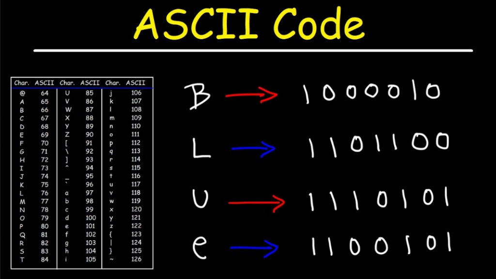 Komputer Dalam Sistem Bilangan Biner Dan Apa Fungsi Binary Coding ...